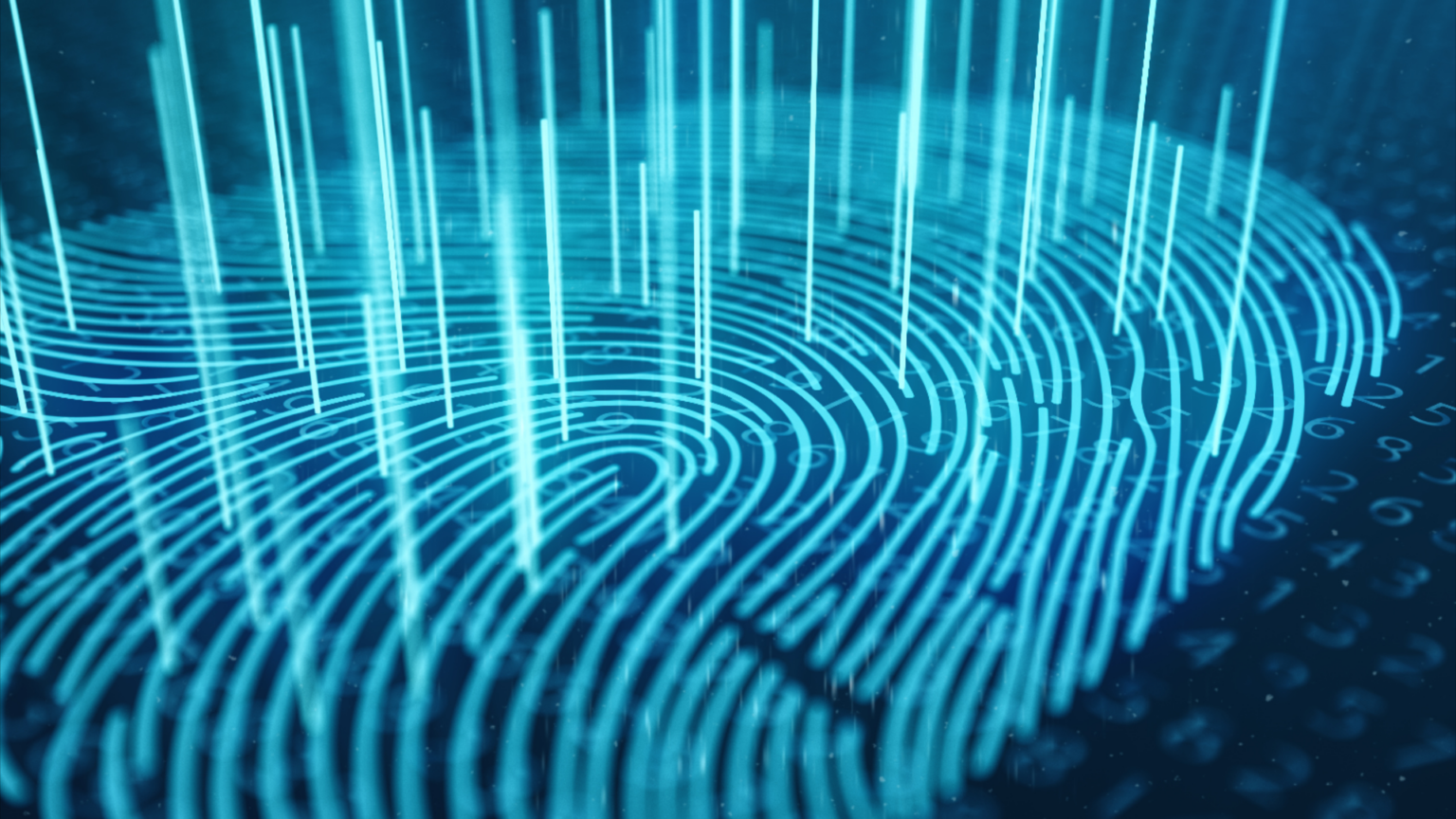 Panini business scanner, check reader and remote deposit - Panini